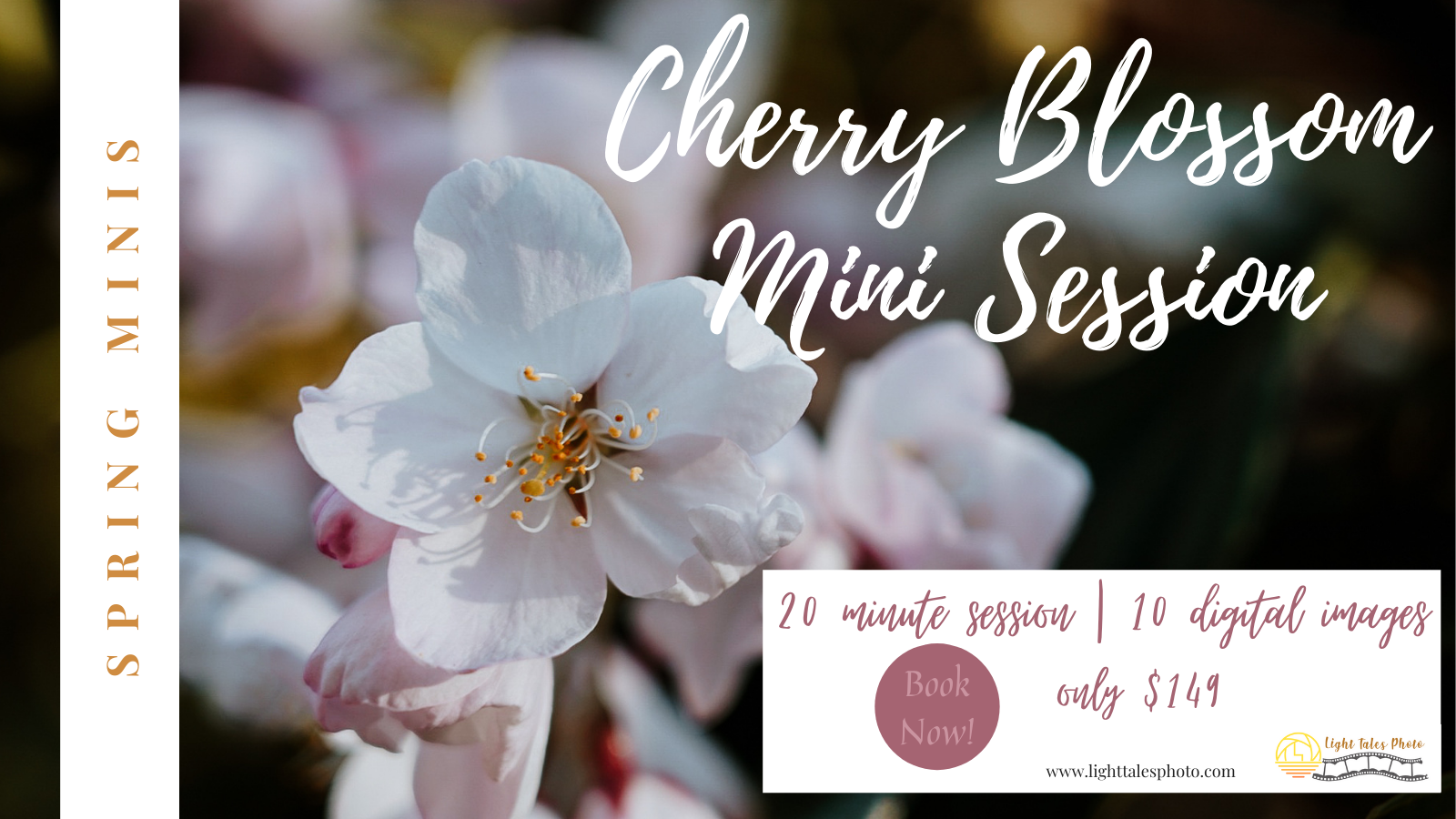 Cherry Blossom Mini Photo Sessions 2021 - Vancity Kids Directory