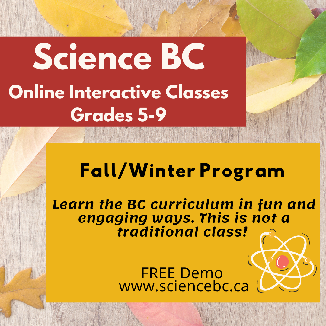 Fall Classes 2021 in Greater Vancouver - Vancity Kids Directory