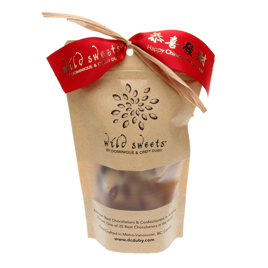 Metro Vancouver Lunar New Year Celebration - Vancity Kids Directory